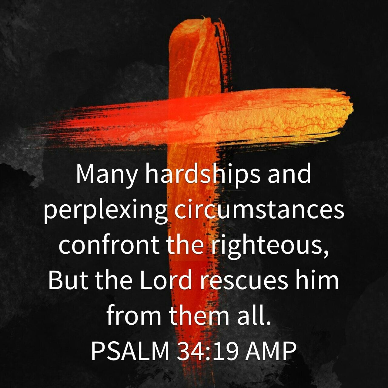 Daily Devotional - November 20, 2019 | Christian Forums @ Christianity ...