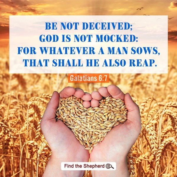 Daily Devotional - October 28, 2019 | Christian Forums @ Christianity Board